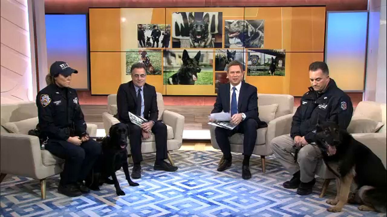 NYPD dogs show off 2018 calendar, demonstrate their work