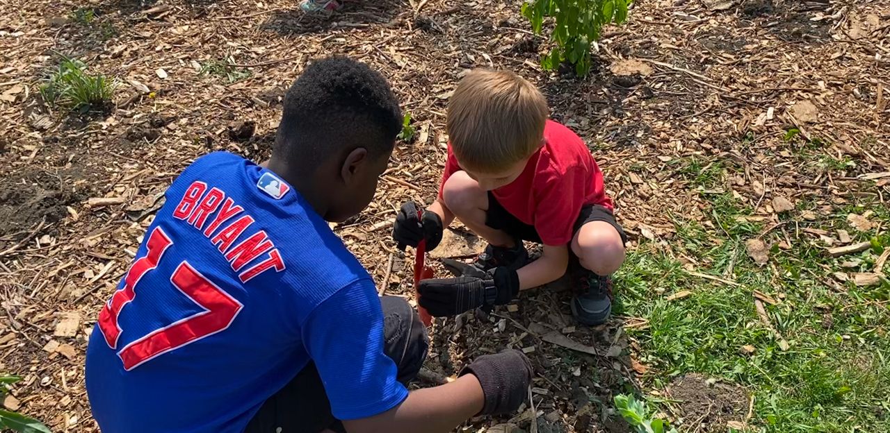 Fratt Elementary School plants Pollinator Patch