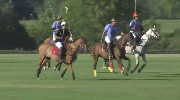 Busting The Myth That Polo Is Only For the Rich