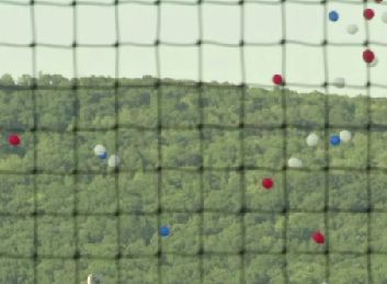 Ponies Proud to Play Ball on Independence Day