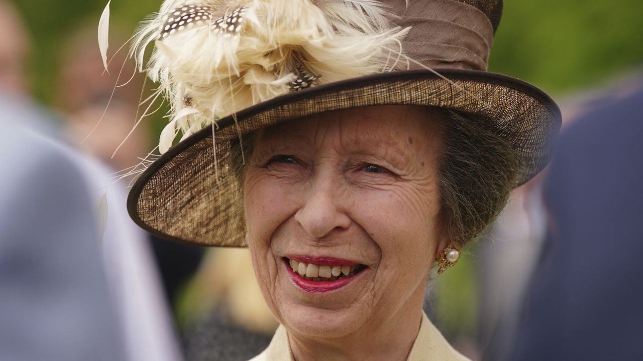 Princess Anne sustains minor injuries, concussion