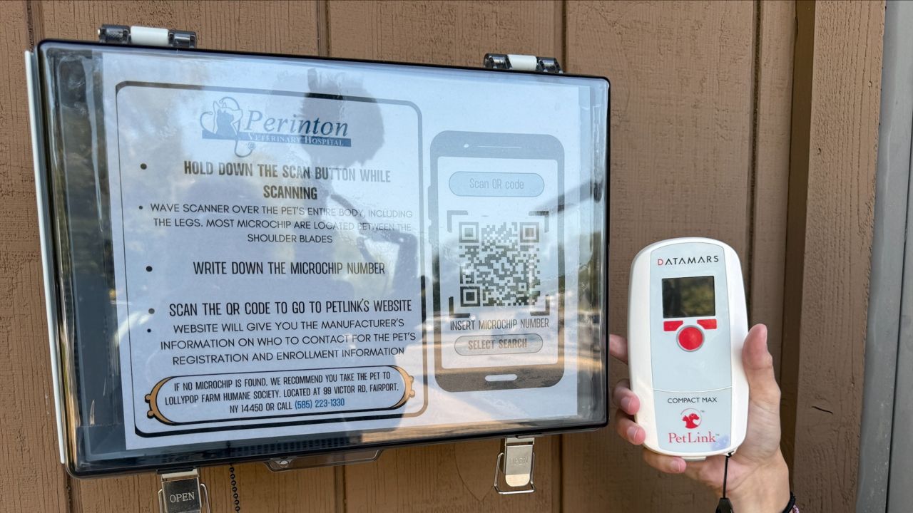Community pet microchip scanning station