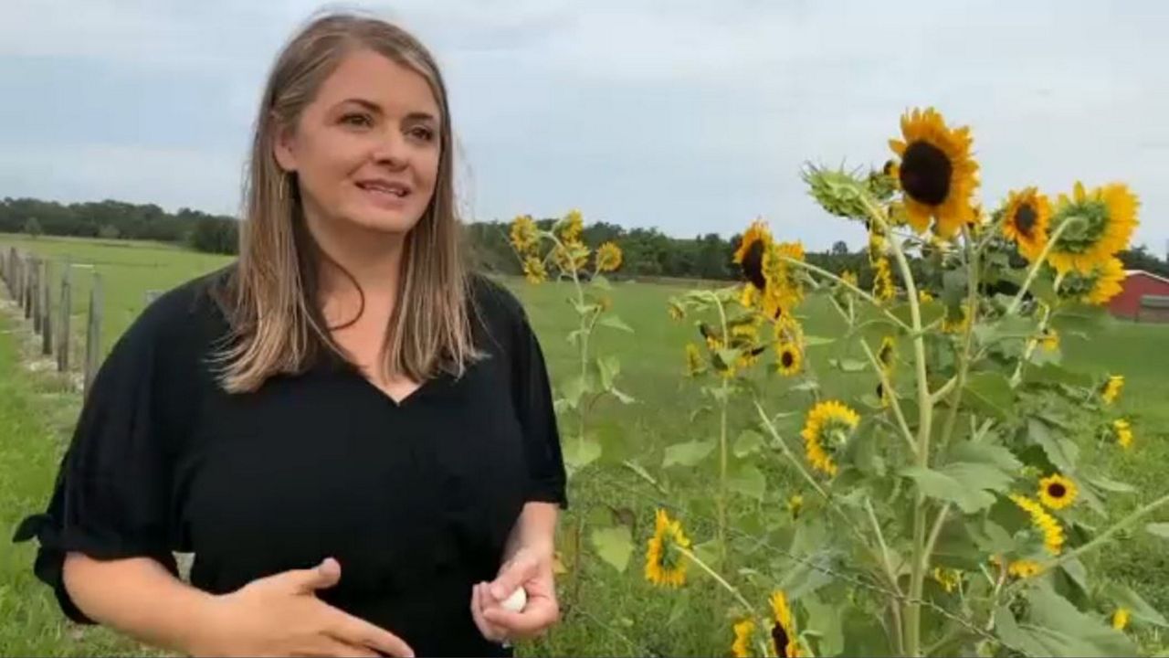 Lake County resident creates group to protect rural land