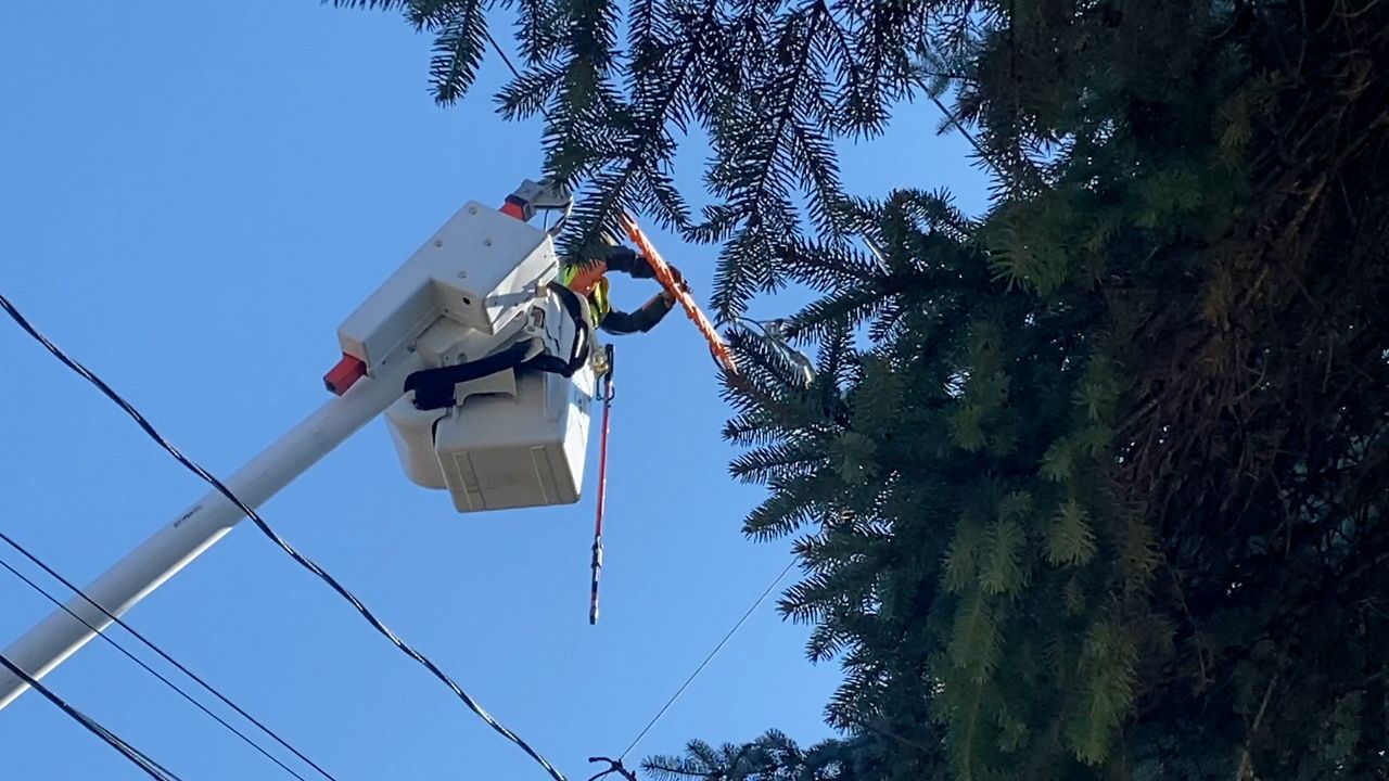 Public utility companies servicing residents across New York