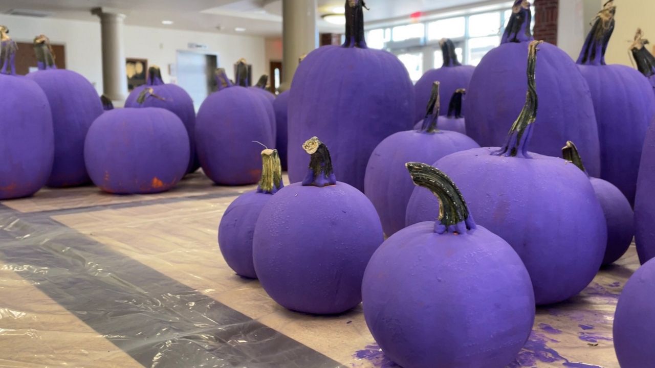 Transylvania's 'Its's on us' helps paint Lexington purple