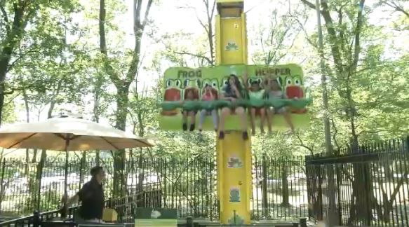 'Frog Hopper' Opens at Forest Park