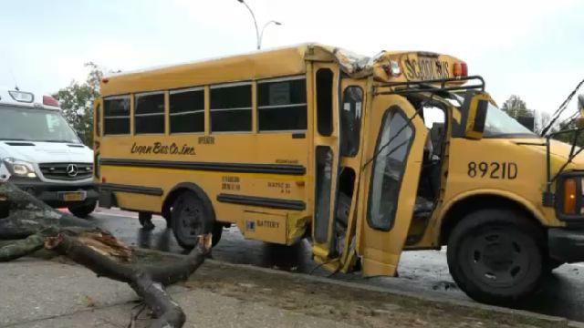 11 injured after tree hits school bus in Queens