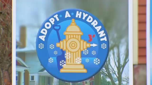 Adopt a Hydrant Before the Snow Arrives