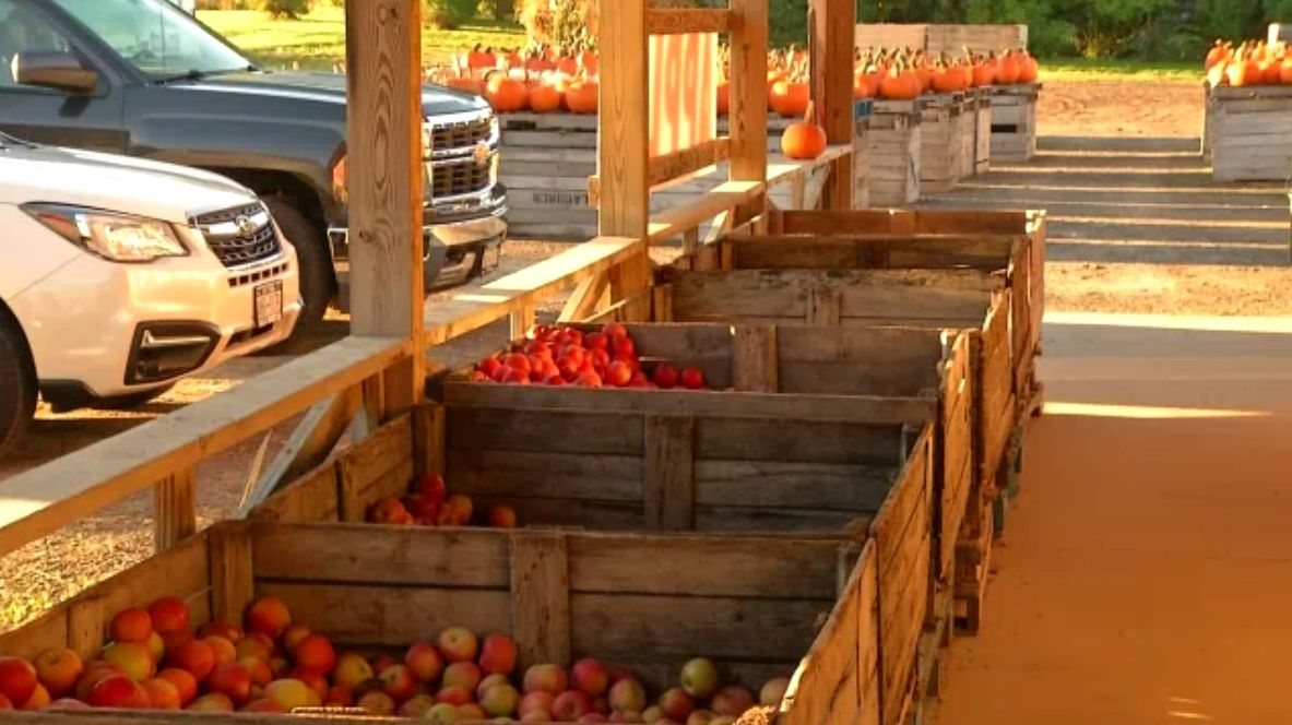 Wayne County: The Capital of Apple Producing