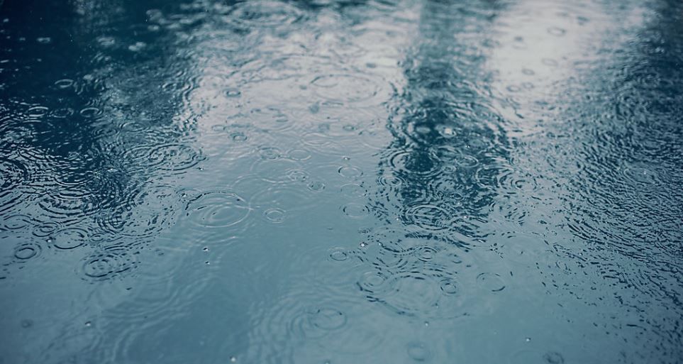 Rochester and Finger Lakes Forecast