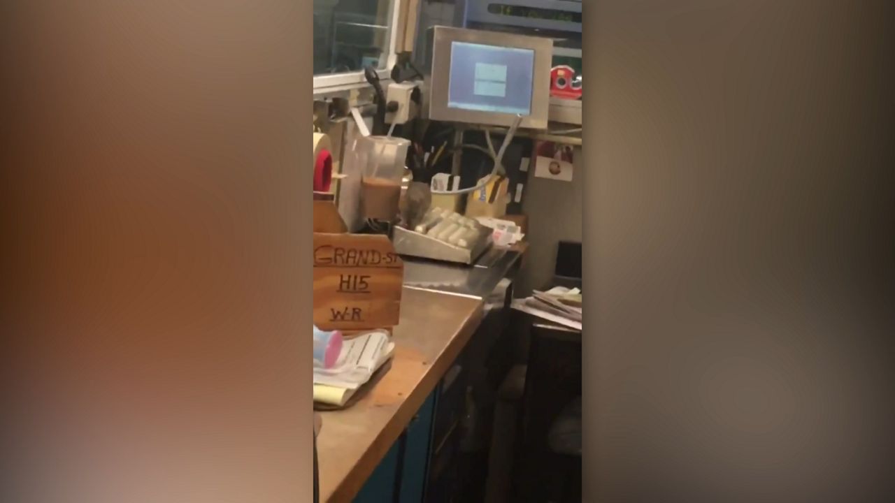 Rat Forces MTA Employee From Traffic Booth