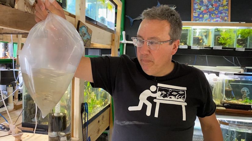 Retired cop living his dream as fish store owner