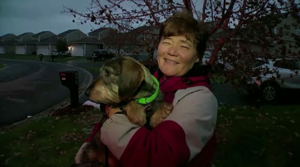 Red Cross Real Heroes: Woman, 4-legged friend help reunite dog with family