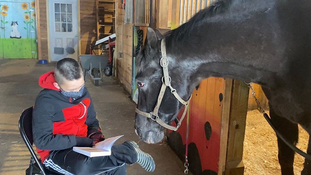 Organization not horsing around helping kids learn to read