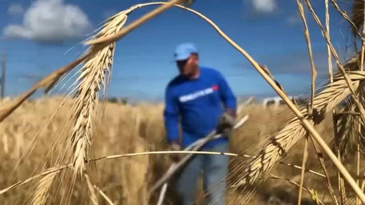 WNY Man Not Letting Pandemic Sip Away His Business