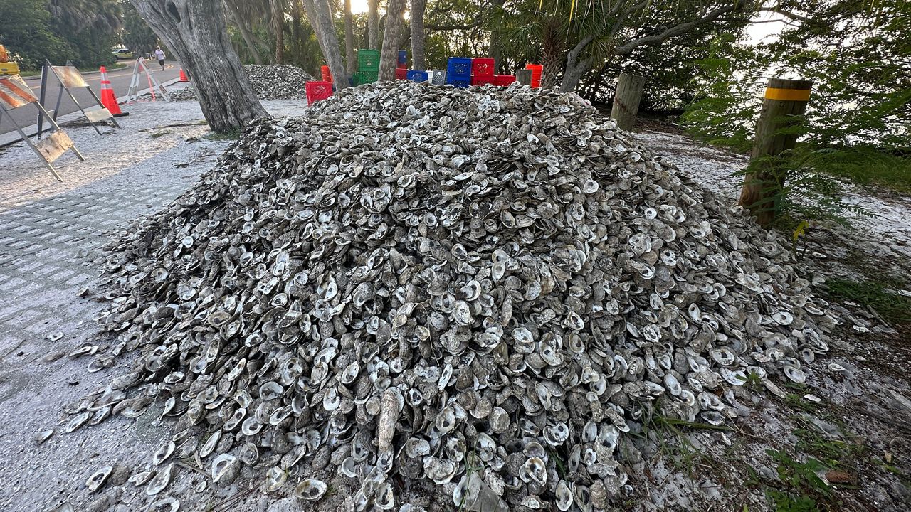 Volunteers begin installing oyster reef at Philippe Park