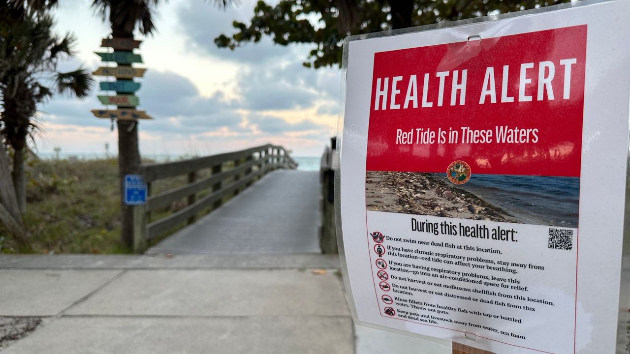Seabird hospital sees large influx in red tide poisoning