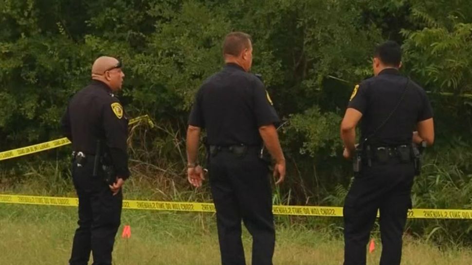 Human remains found in wooded area