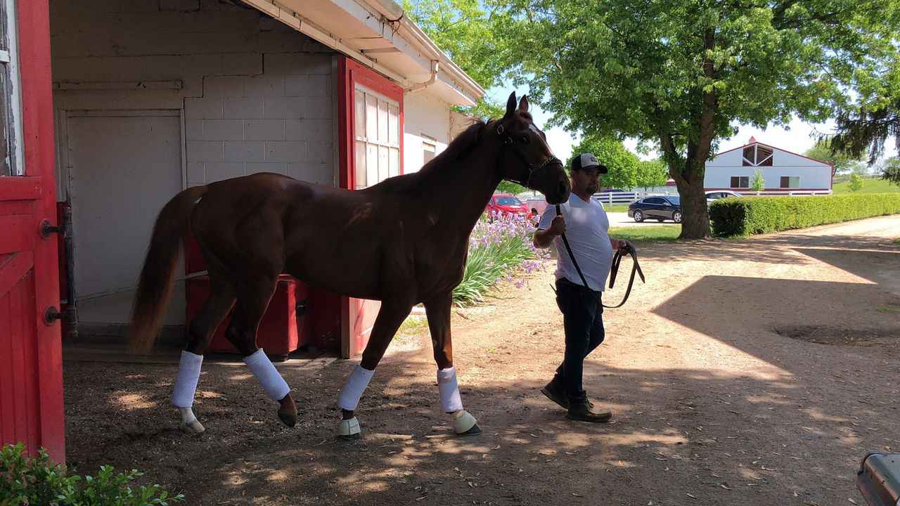 Rich Strike Derby 148 Winner Readies For Preakness