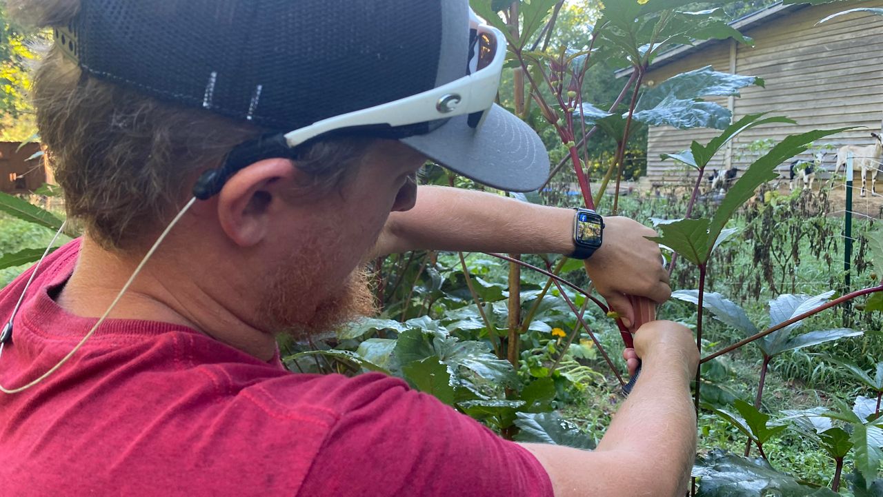 Certified Naturally Grown Farms