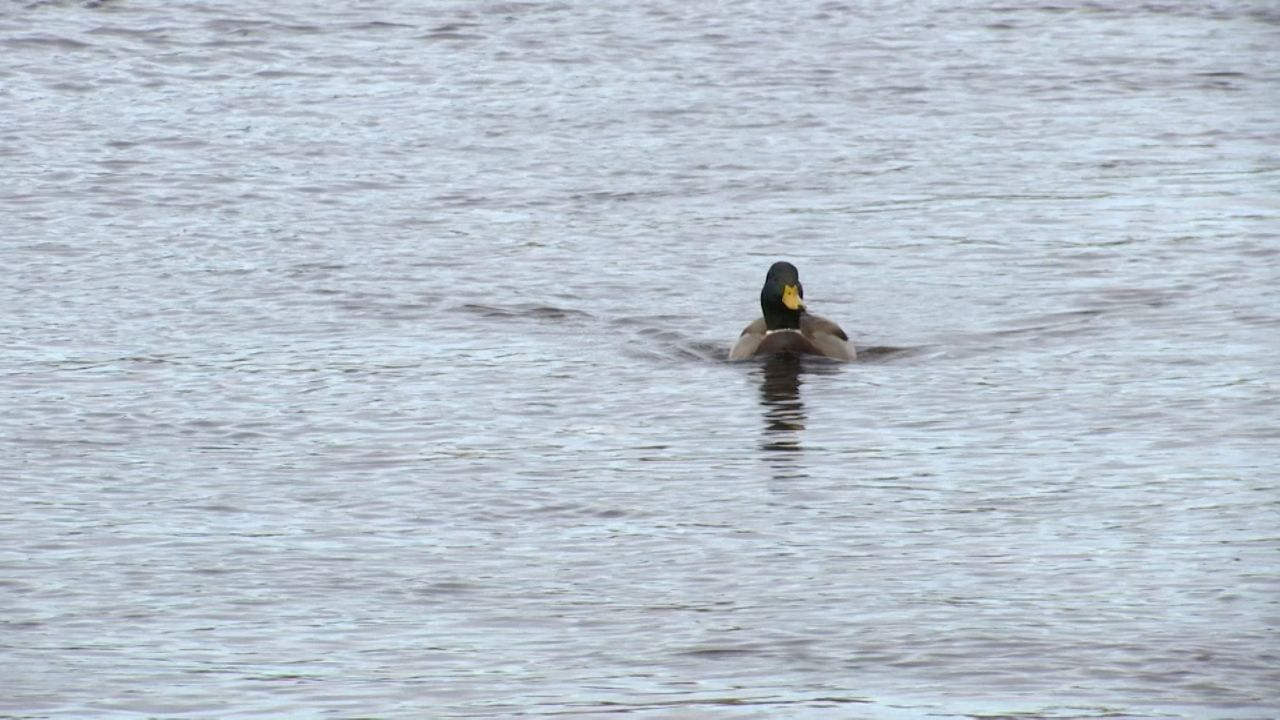Microplastics discovered in Upper Mississippi River