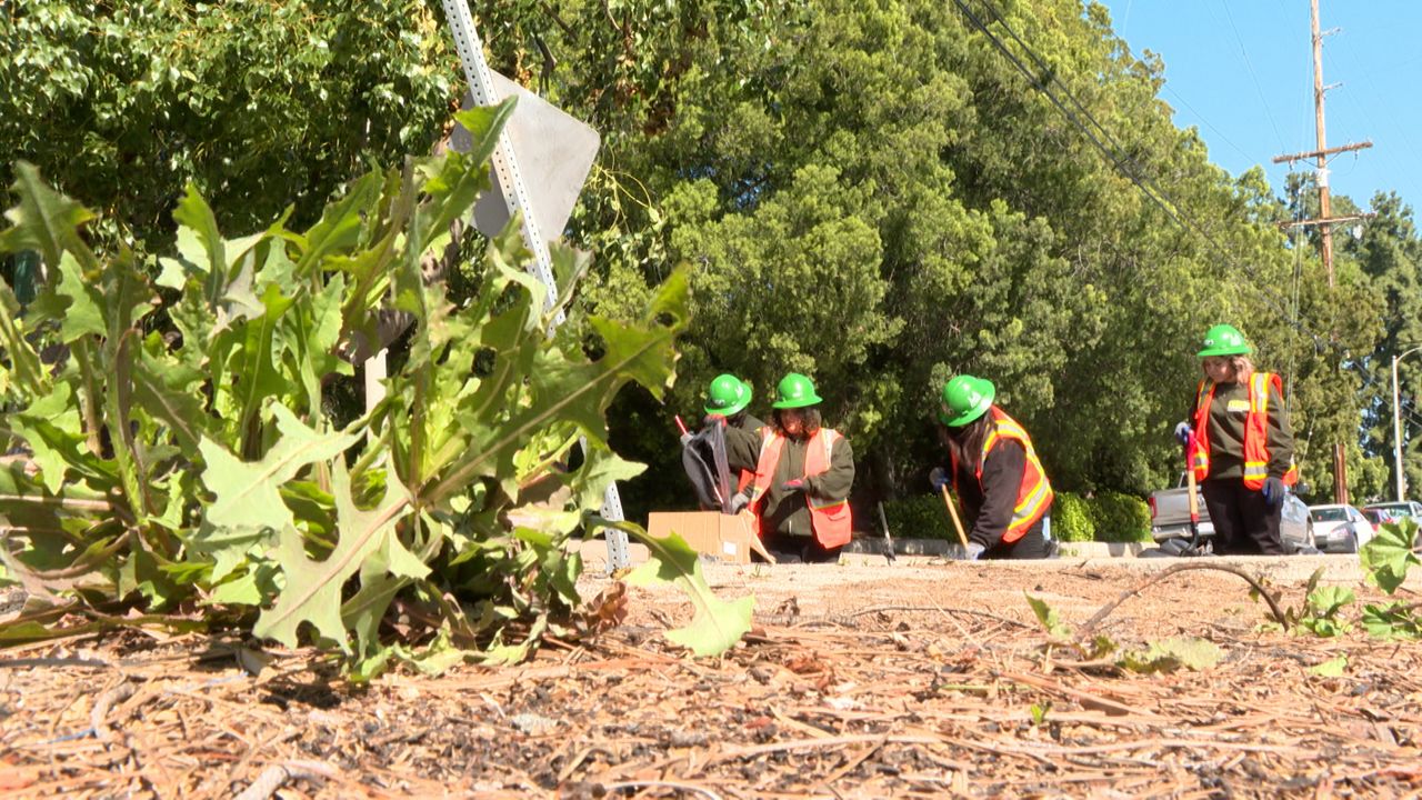River Rangers program hires Angelenos to care for LA River