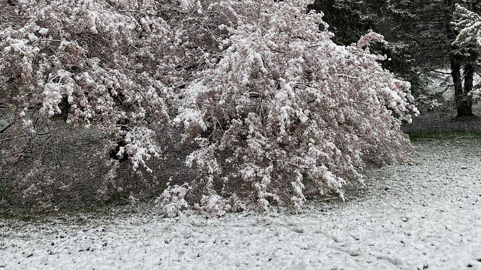 Winter weather returns to Rochester