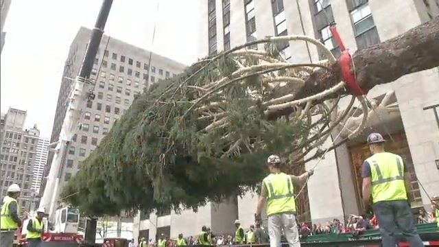Christmas Tree Arrives in Rockefeller Center