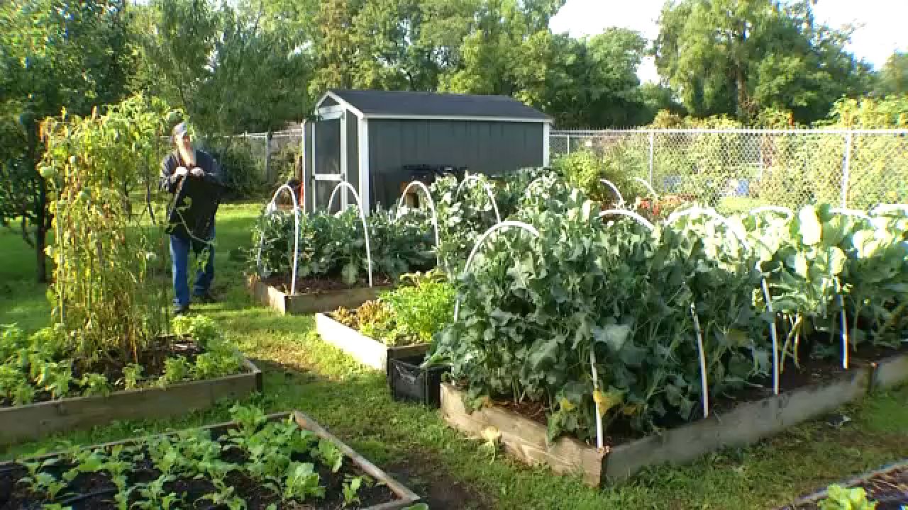 Rochester farm, Foodlink growing better access to fresh food
