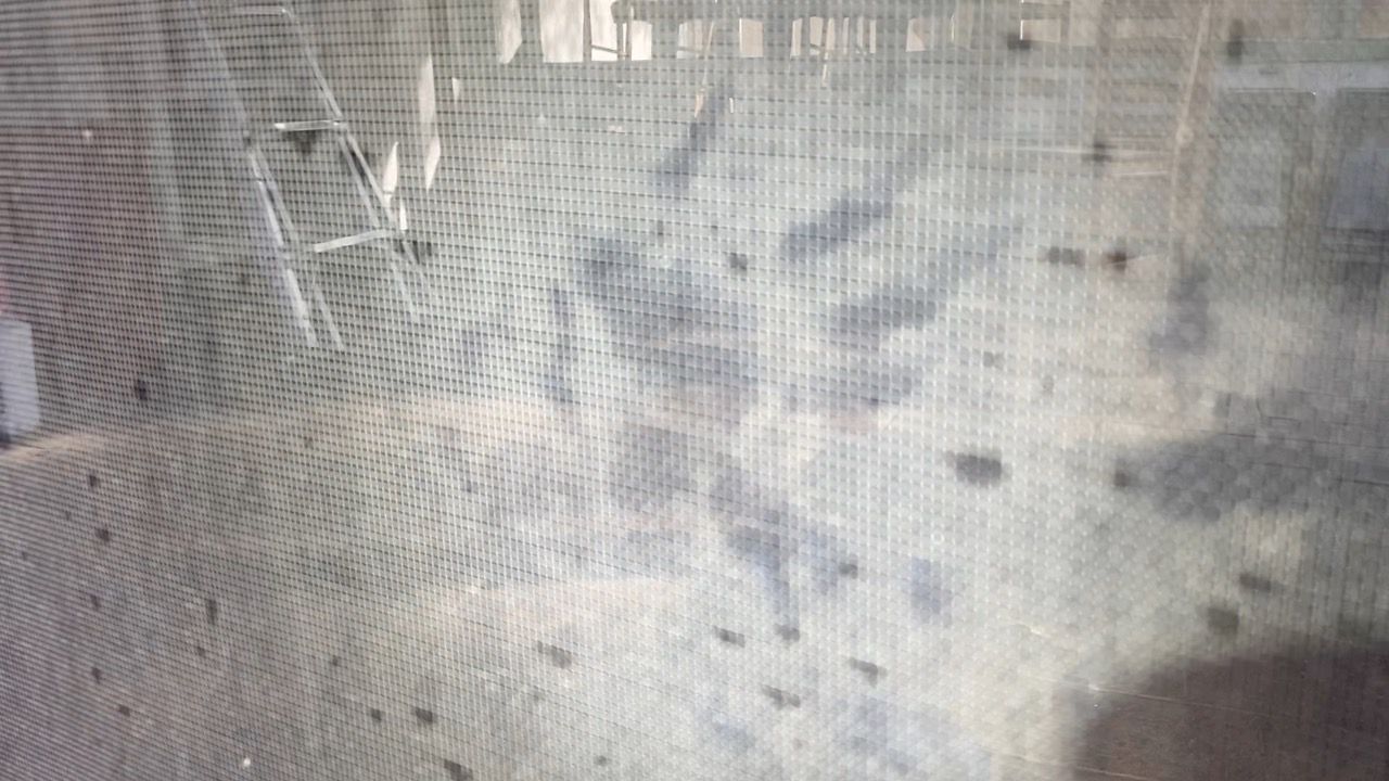 A rise in calls puts Central Texas on rodent alert