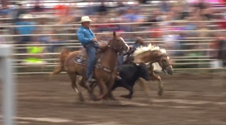 Professional cowboys compete in the Mid-Western Rodeo