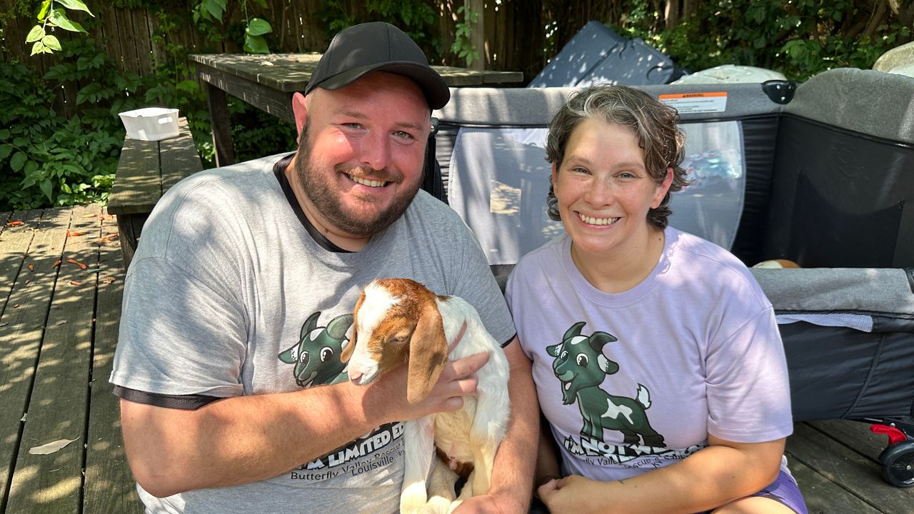 Louisville animal sanctuary rescues special needs goat