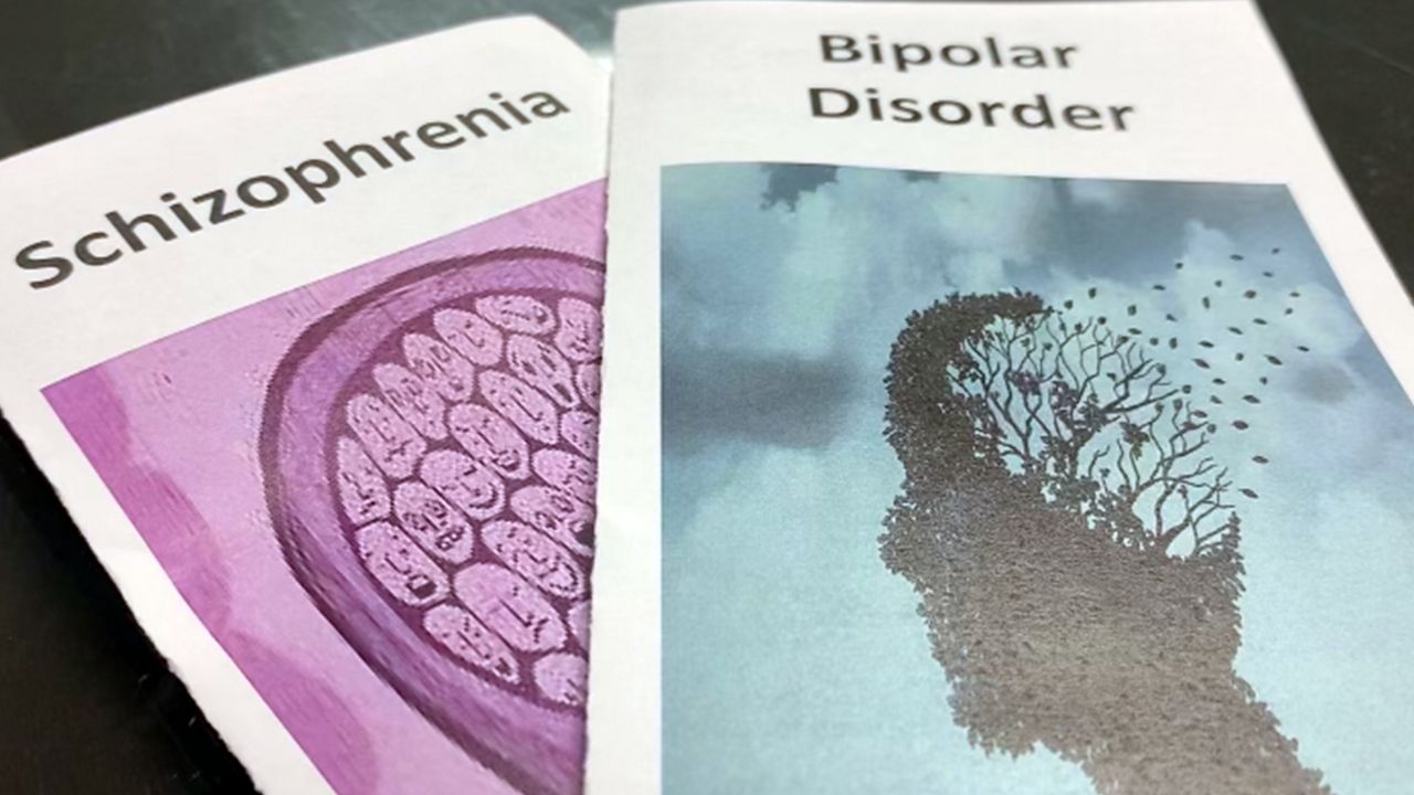 RPI contributes to new drug for treating mental illnesses