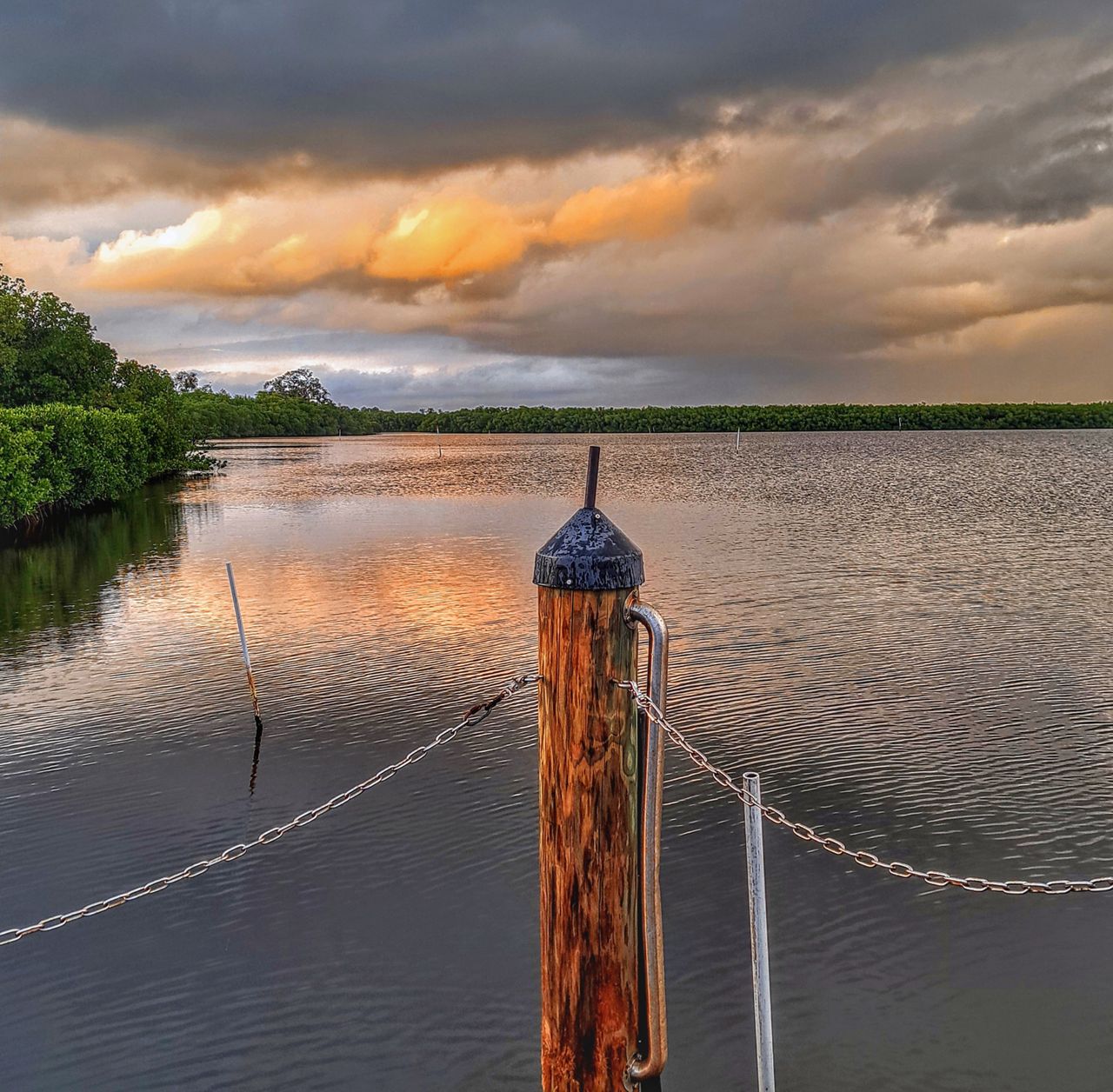 Weekend Digest Tampa Bay December 13 & 14