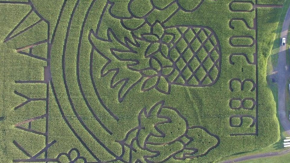Samascott Orchard Corn Maze Built in Honor of Loved One
