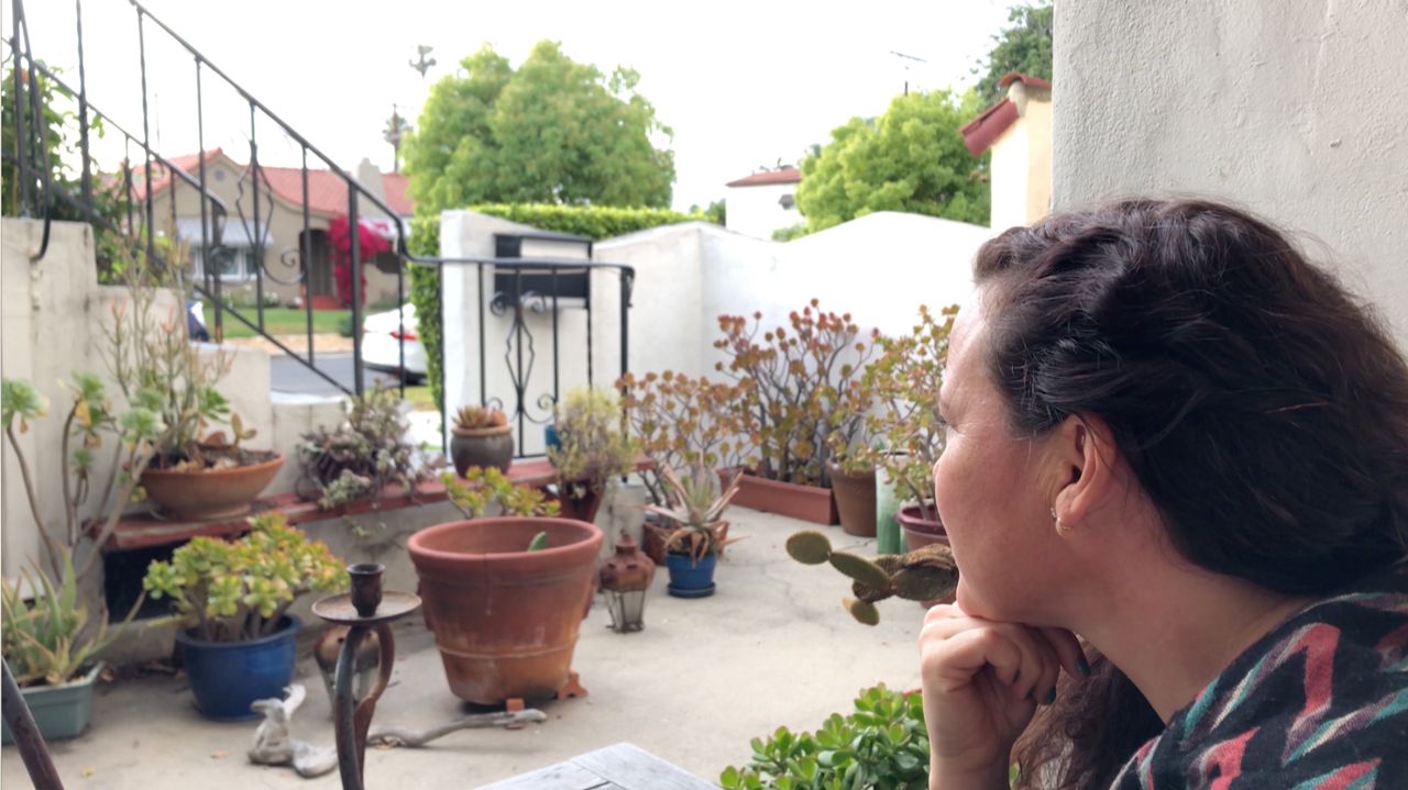 Residents, Politicians Divided Over Impact of SB-50 on LA Housing