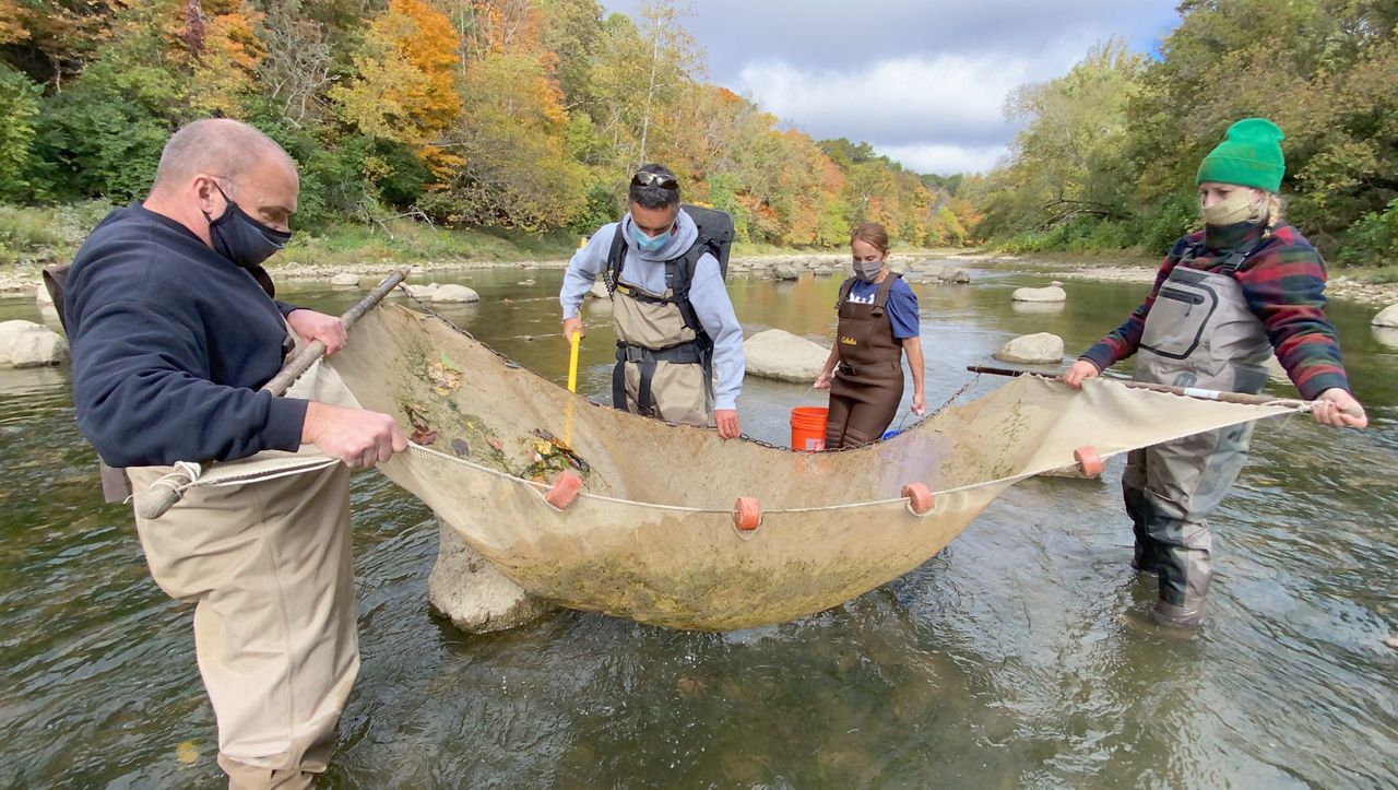 Sensitive Fish Species Alive and Well in Scenic River
