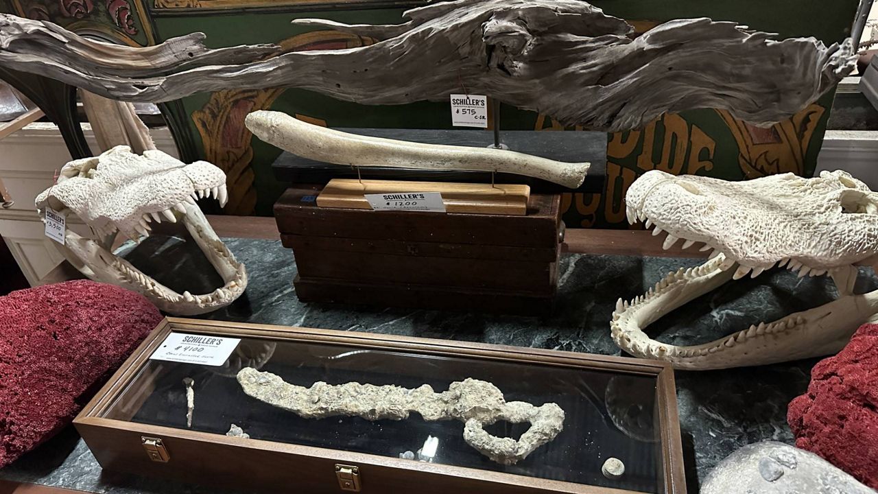 Tampa salvage business offers a peek into the past