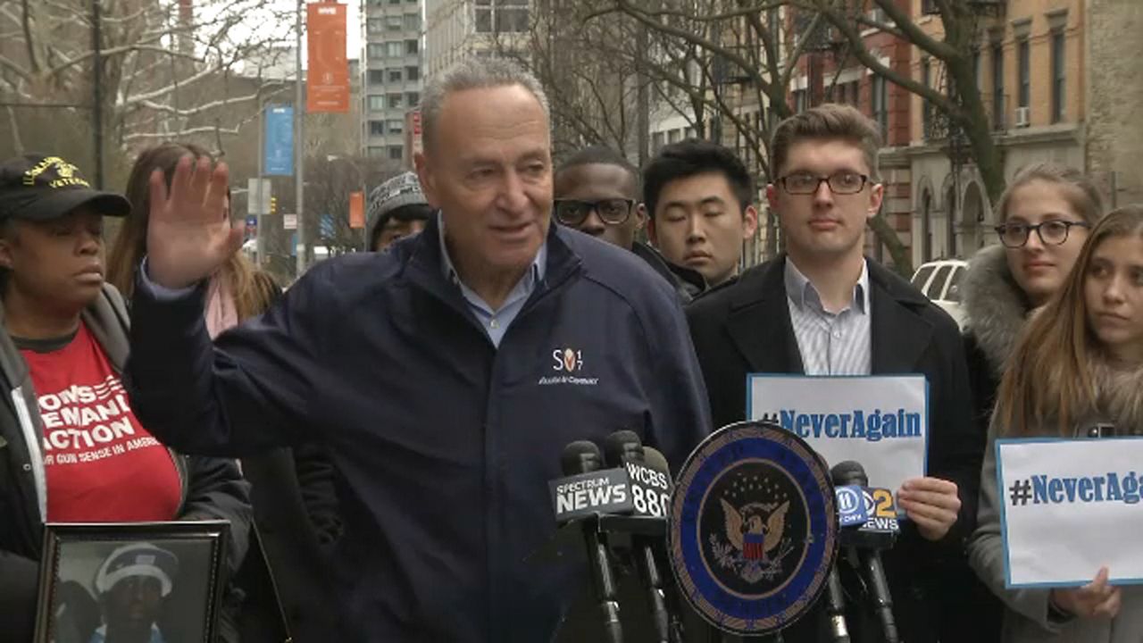 Schumer unveils plan to reduce gun violence