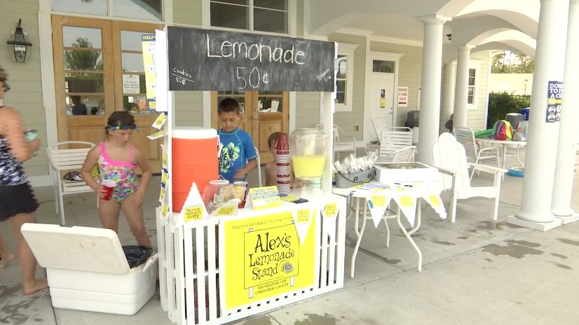 Leland Neighborhood Hosts Alex's Lemonade Stand for Cancer Research