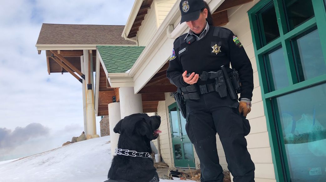 Wisconsin DNR utilize K9 officers in the field
