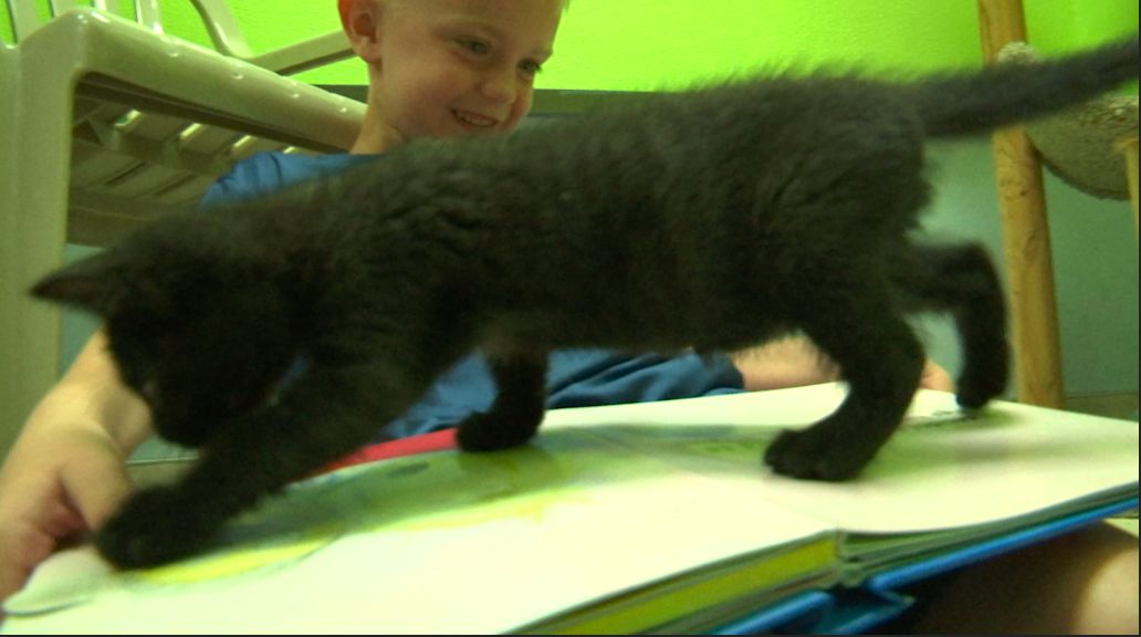 Kids read to animals during summer reading program