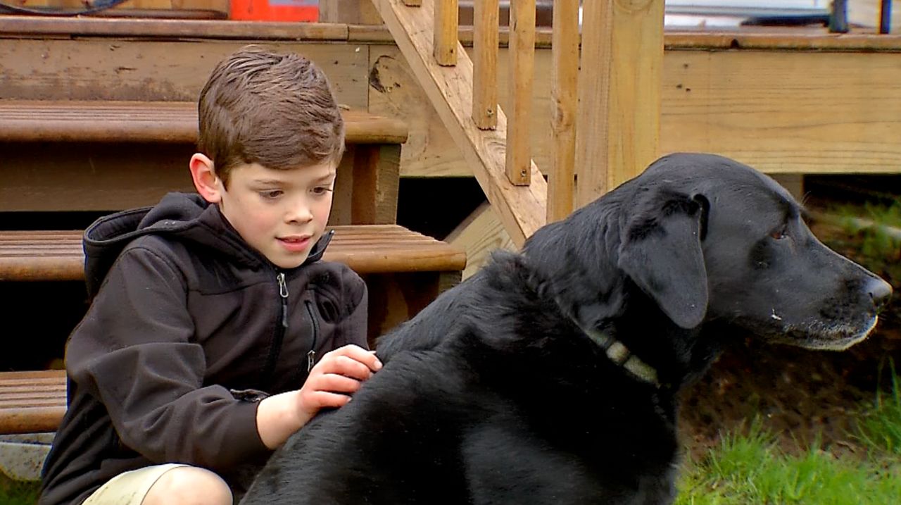 An Unexpected Bond Between a Boy and his Neighbor's Dog