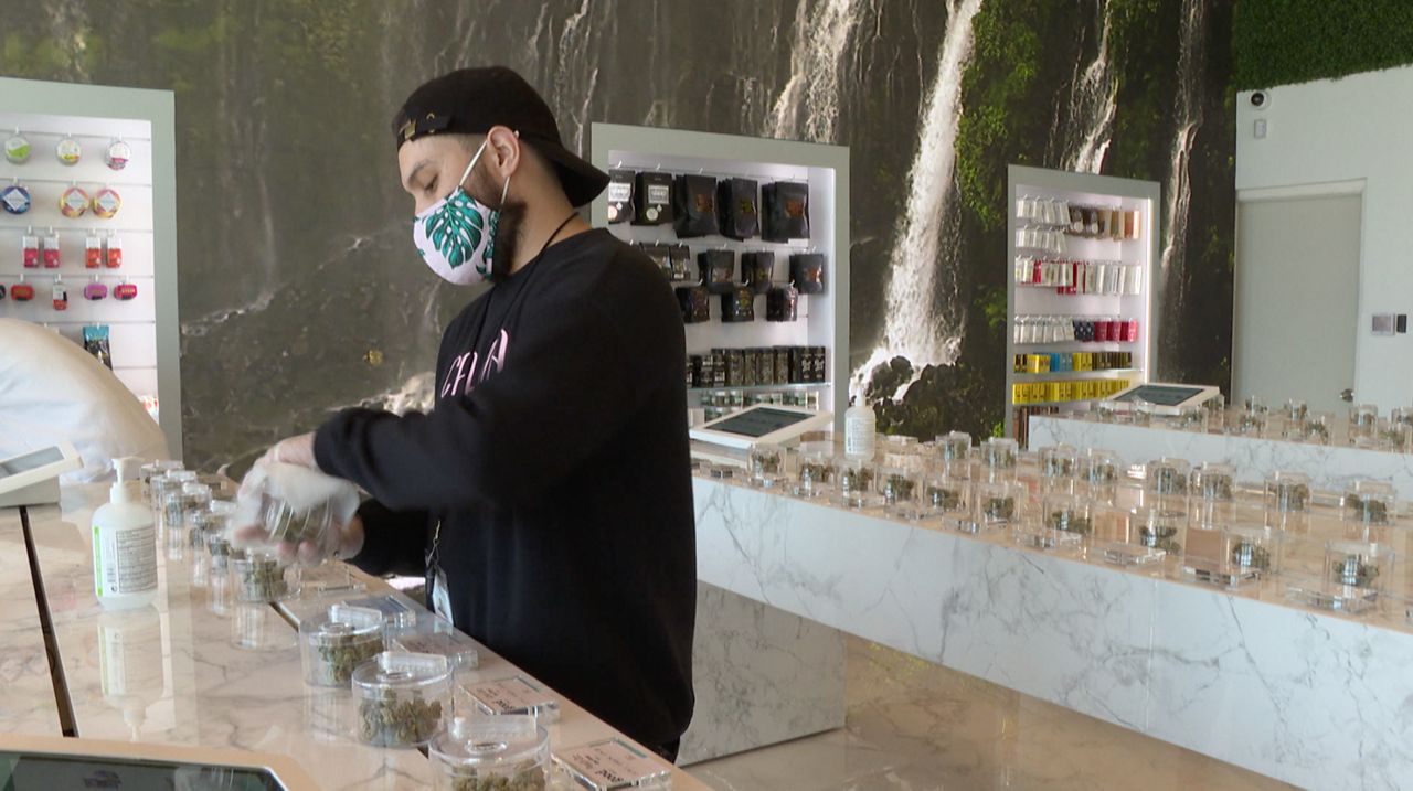 New Cannabis Dispensary Opens in West Hollywood