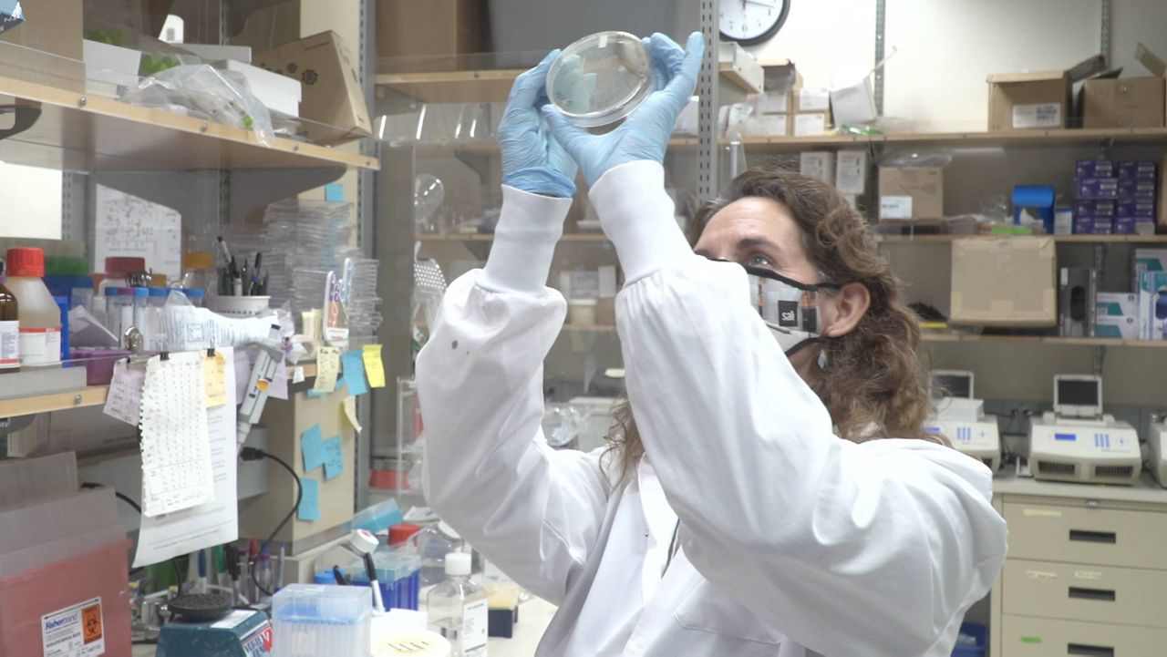 Salk Institute Scientists Accelerate COVID-19 Research