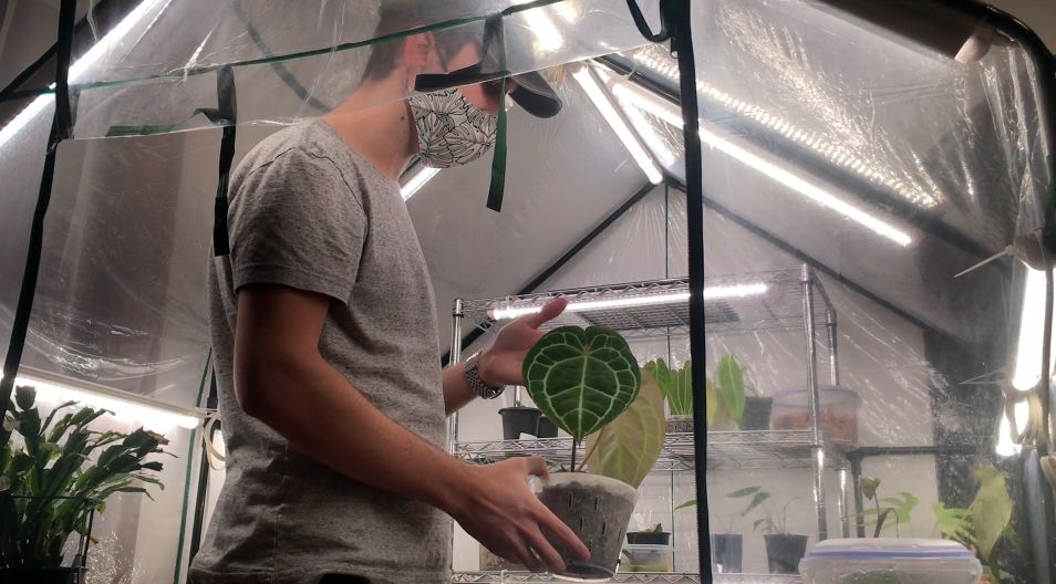 Becoming a "Plant Person" in Syracuse