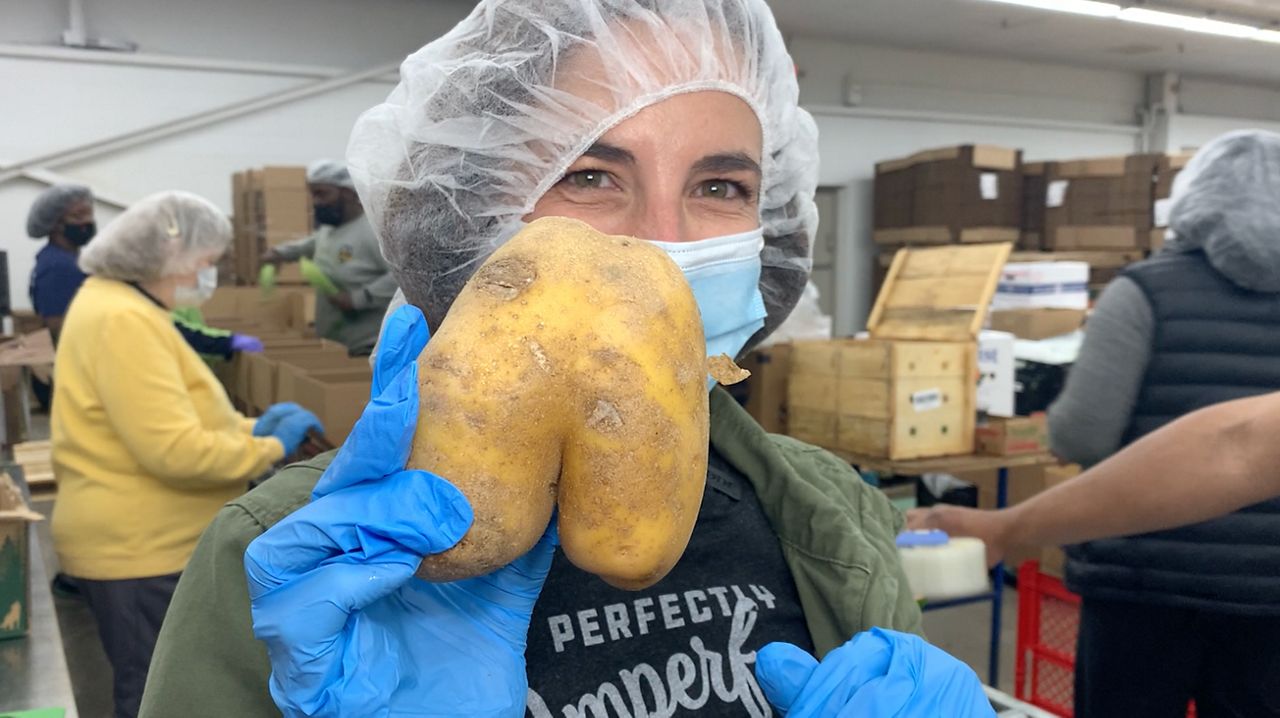 Perfectly Imperfect Produce Improving Healthy Food Access for All