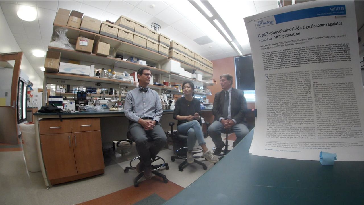 UW researchers make cancer breakthrough