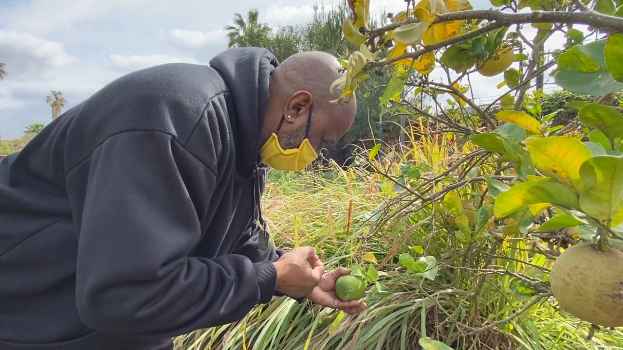 Urban Farm Offers Valuable Job Skills Training to Homeless Population