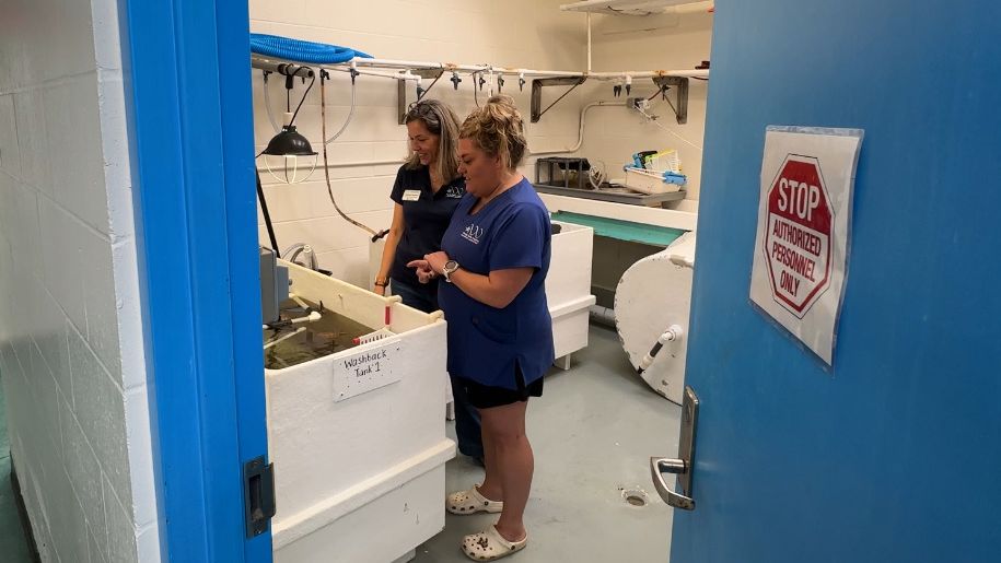 UF Whitney Lab continues construction of research building